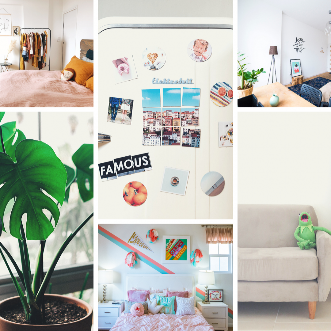 How to make your student house a home | Coapt